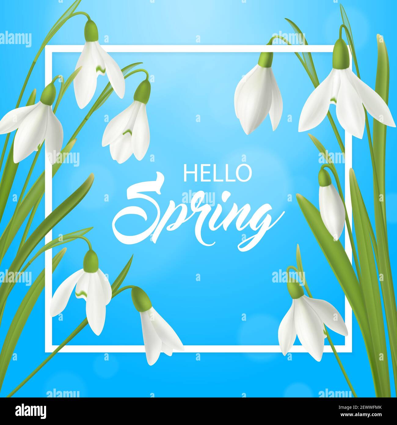Realistic snowdrop flower hello summer poster background with flat ...
