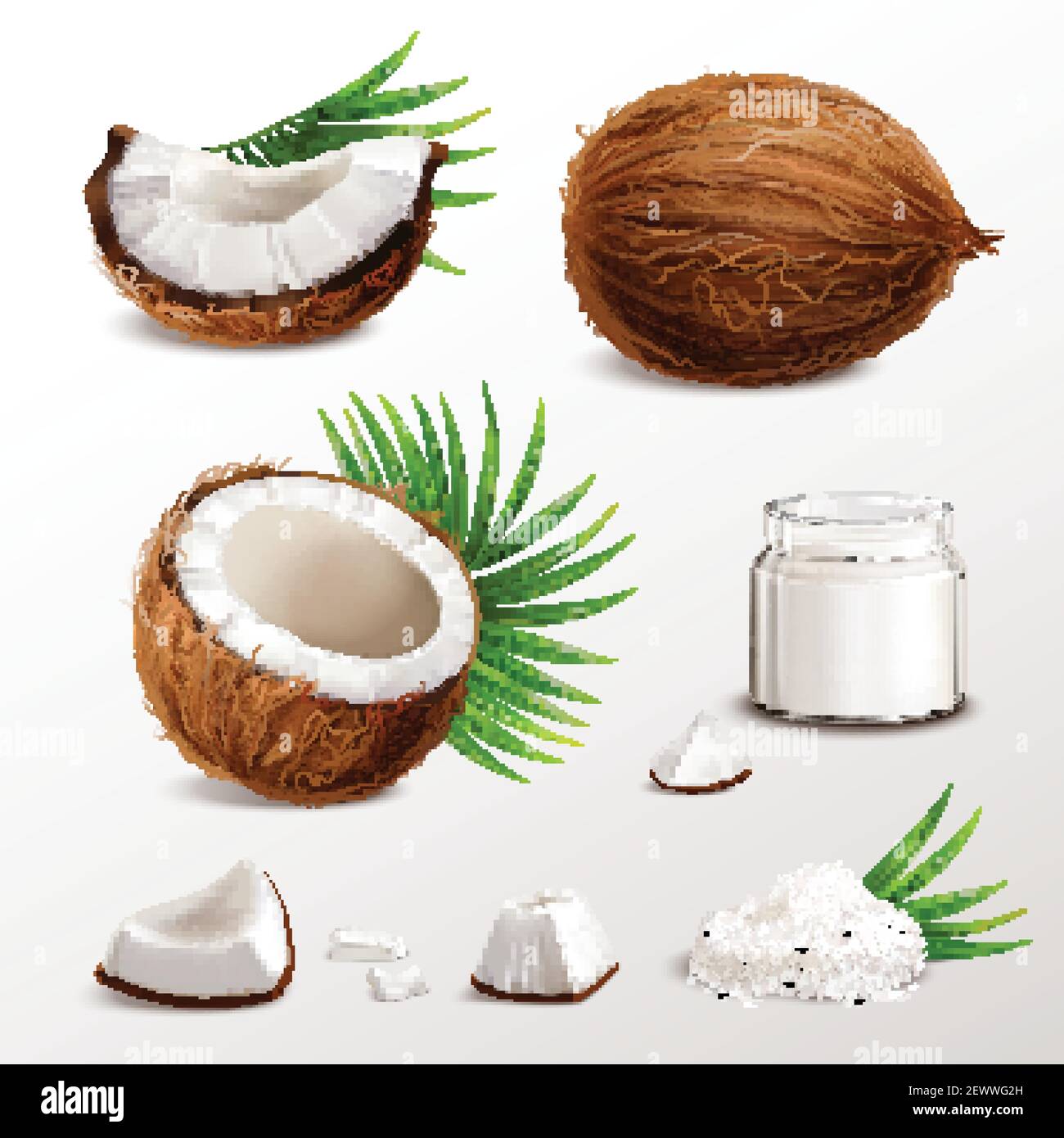 Coconut realistic set with nut segments flesh pieces jar milk powder ...