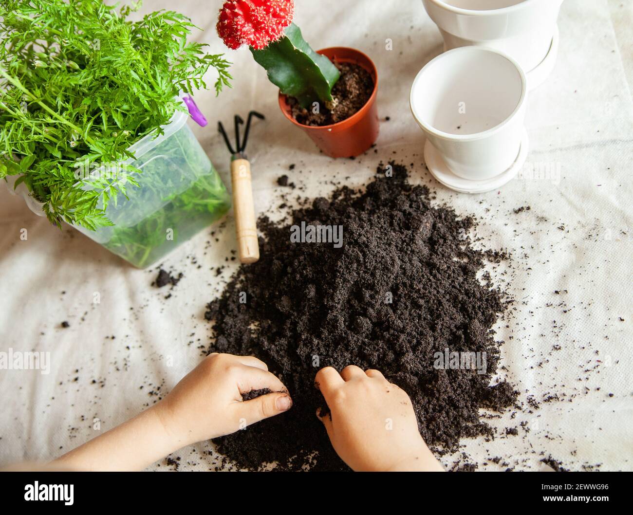 Crop Child Playing With Soil While Gardening On Table Stock Photo Alamy crop-child-playing-with-soil-while-gardening-on-table-stock-photo-alamy
