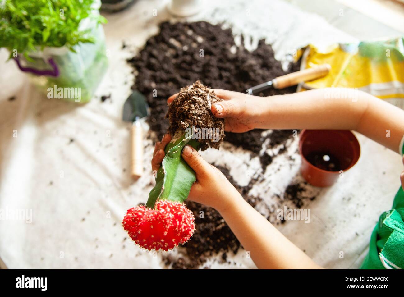 Uprooting hi-res stock photography and images - Alamy
