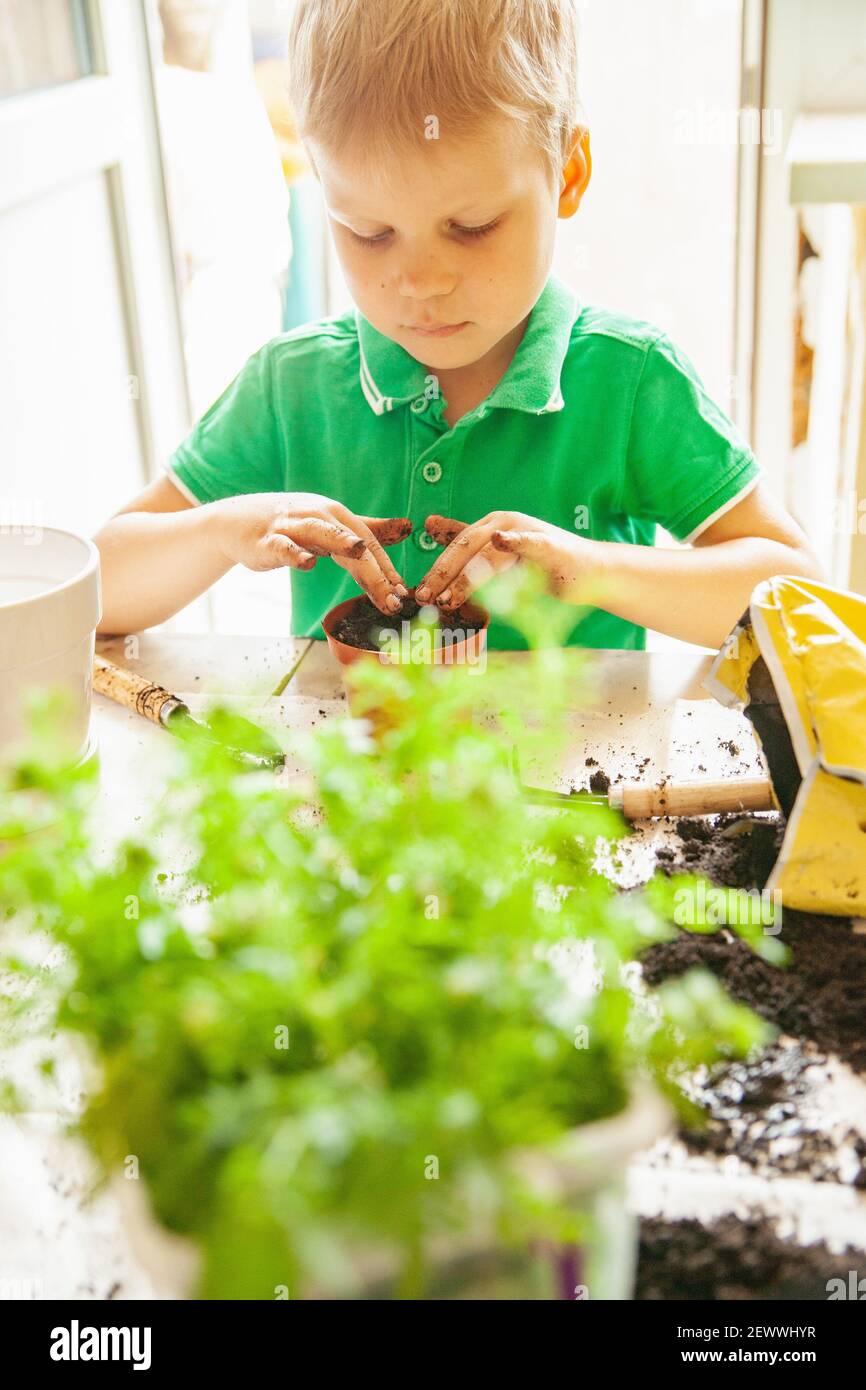 Boy plant pot hi-res stock photography and images - Alamy