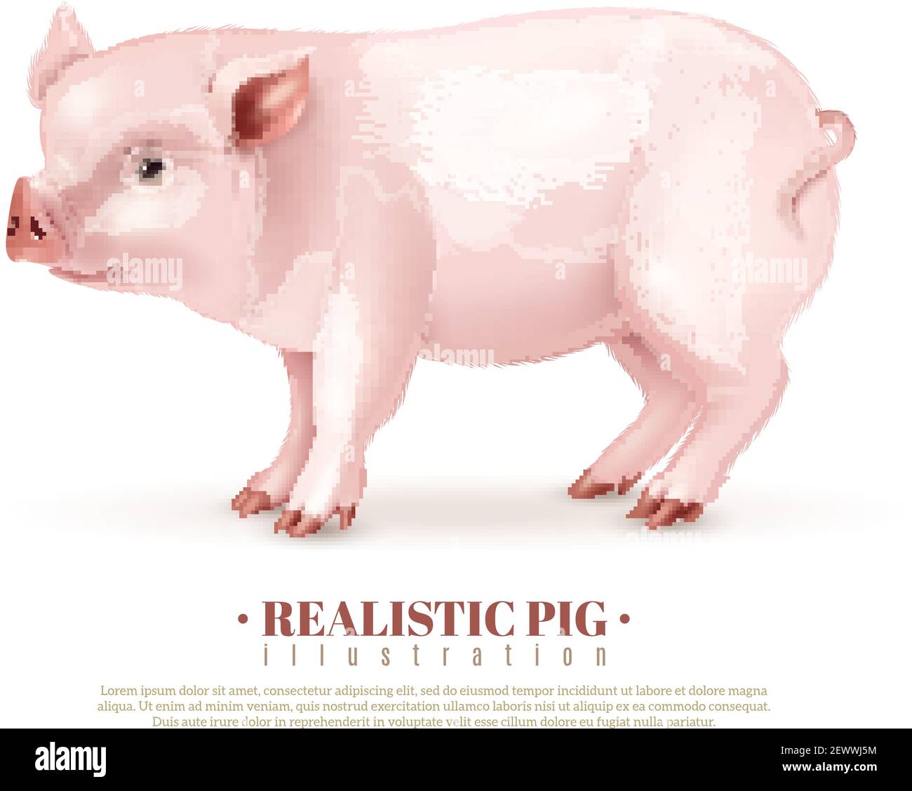 Realistic pink piggy side view isolated on white background for ...