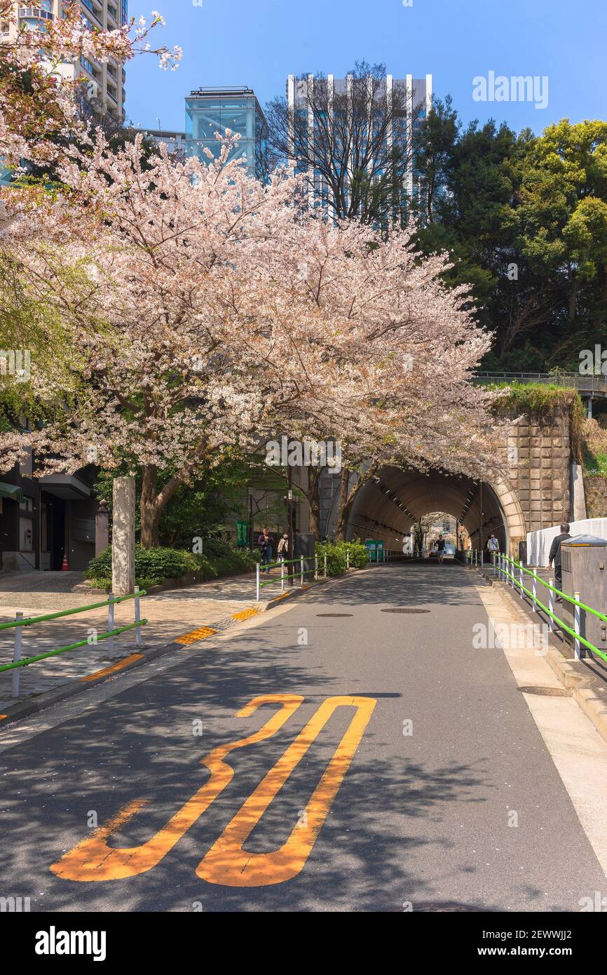 tokyo, japan - april 06 2020: Speed limit pavement marking on the ...