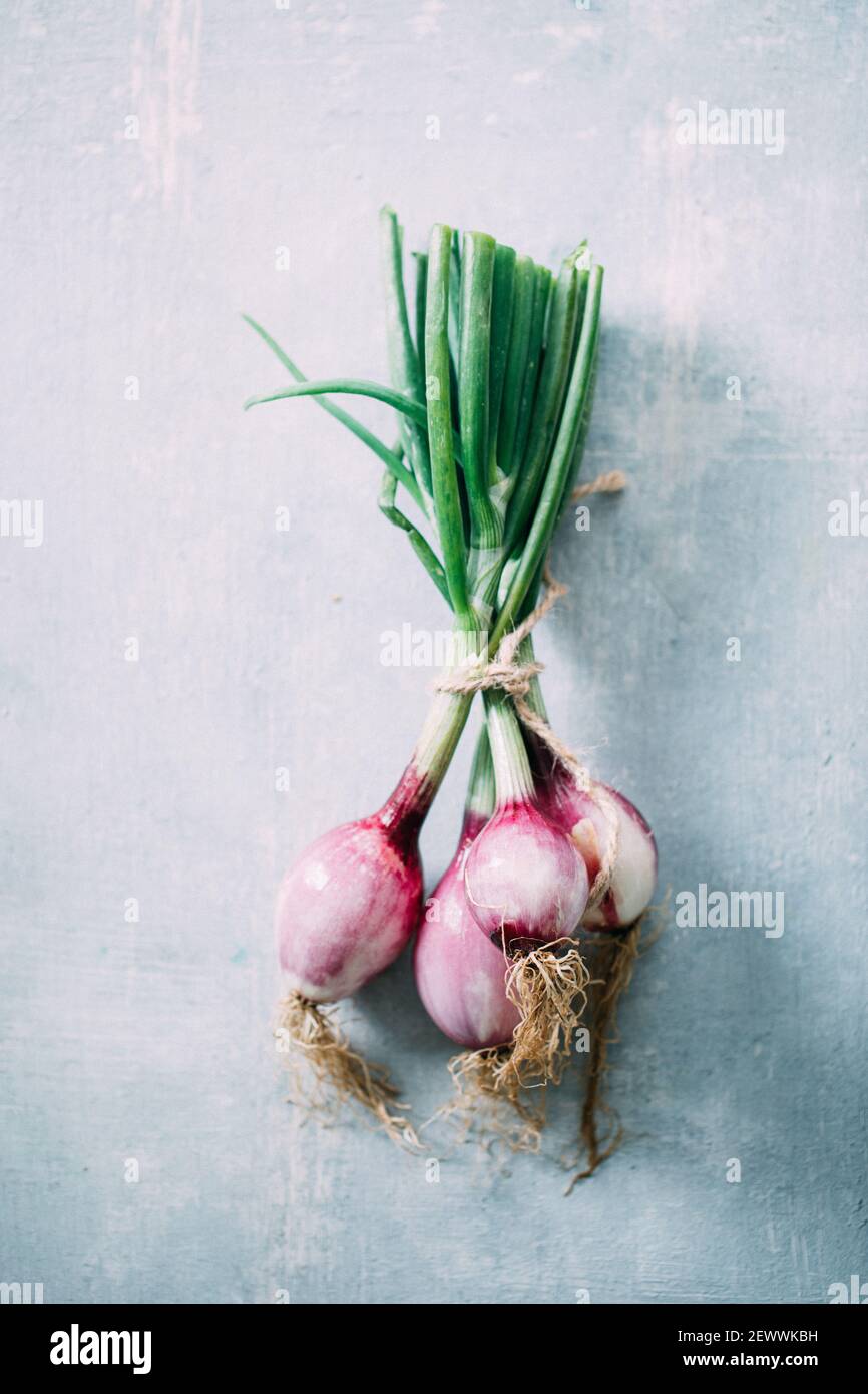 A top view of fresh shallots on a blurred background Stock Photo - Alamy