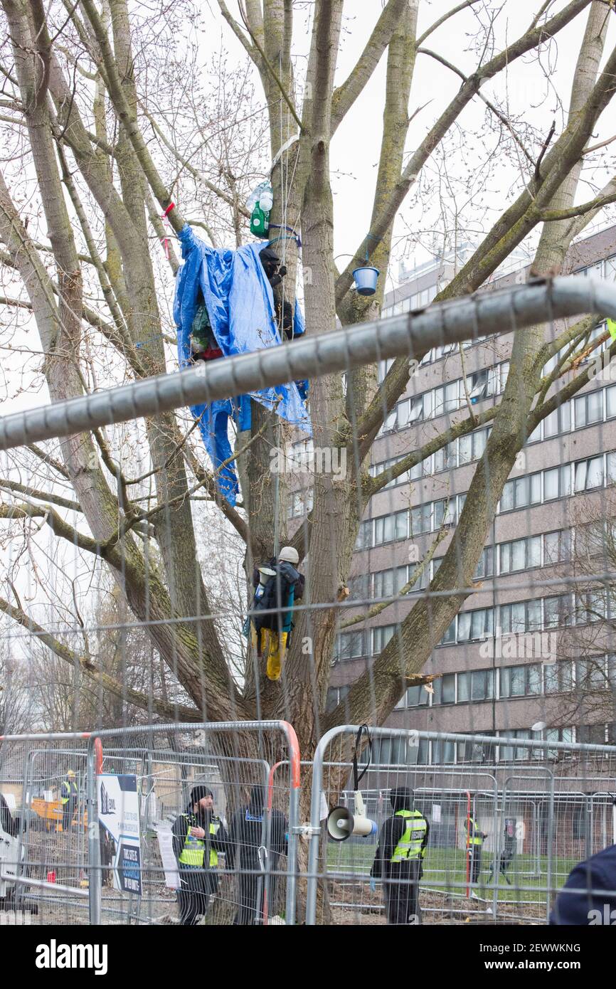 Tree protector hi-res stock photography and images - Alamy