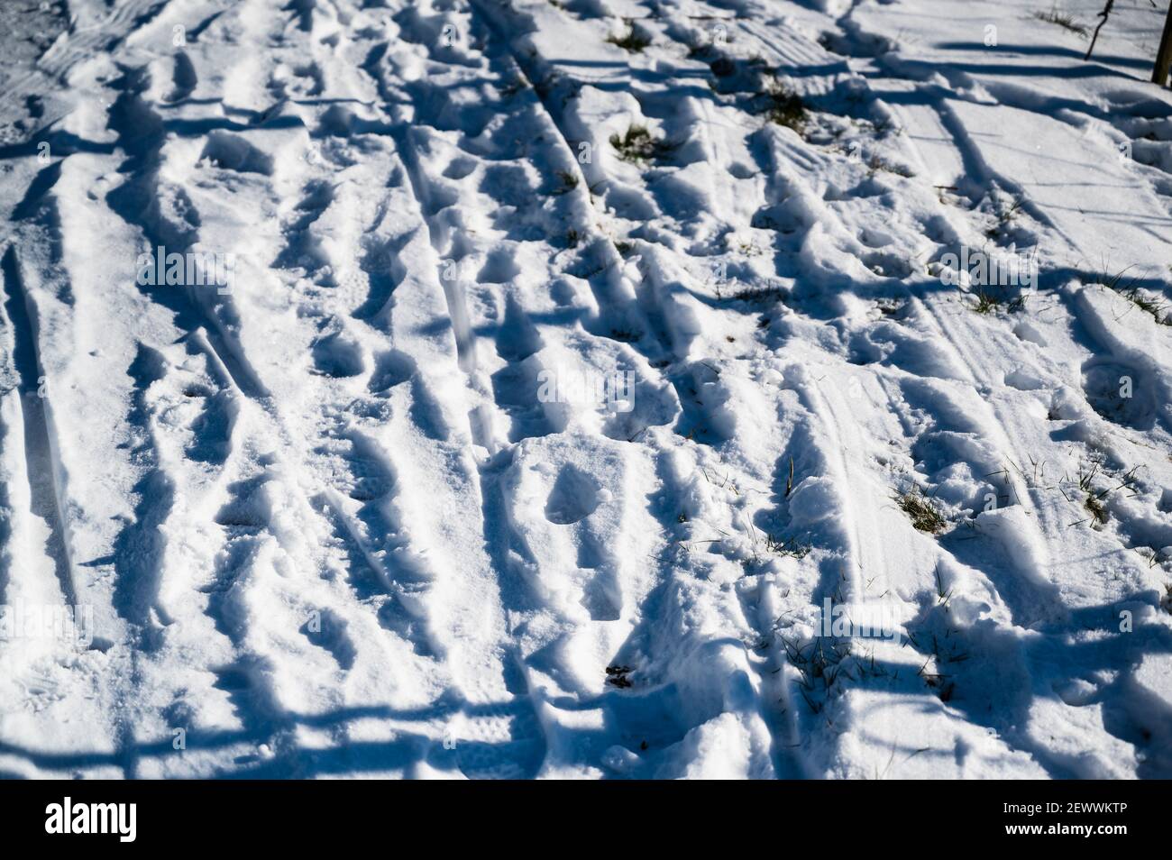 Countryside field snow footsteps hi-res stock photography and images ...