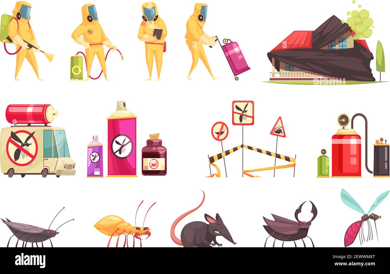 Disinfection pest control set of flat isolated images with insects ...