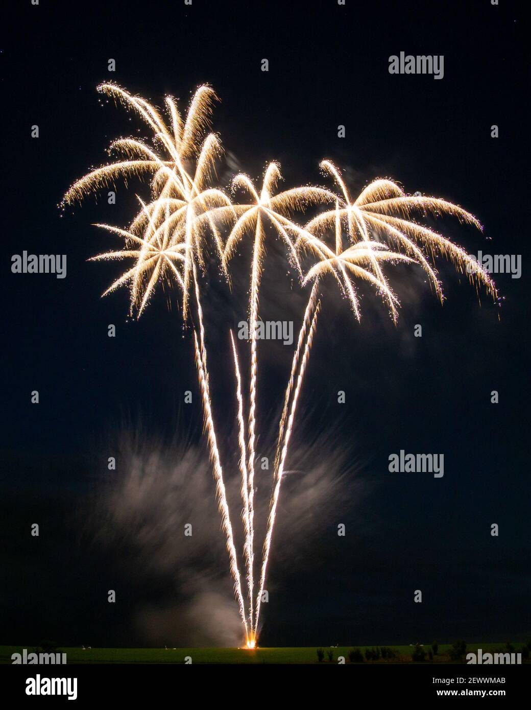 A vertical shot of fireworks shaped like palm trees during nighttime ...