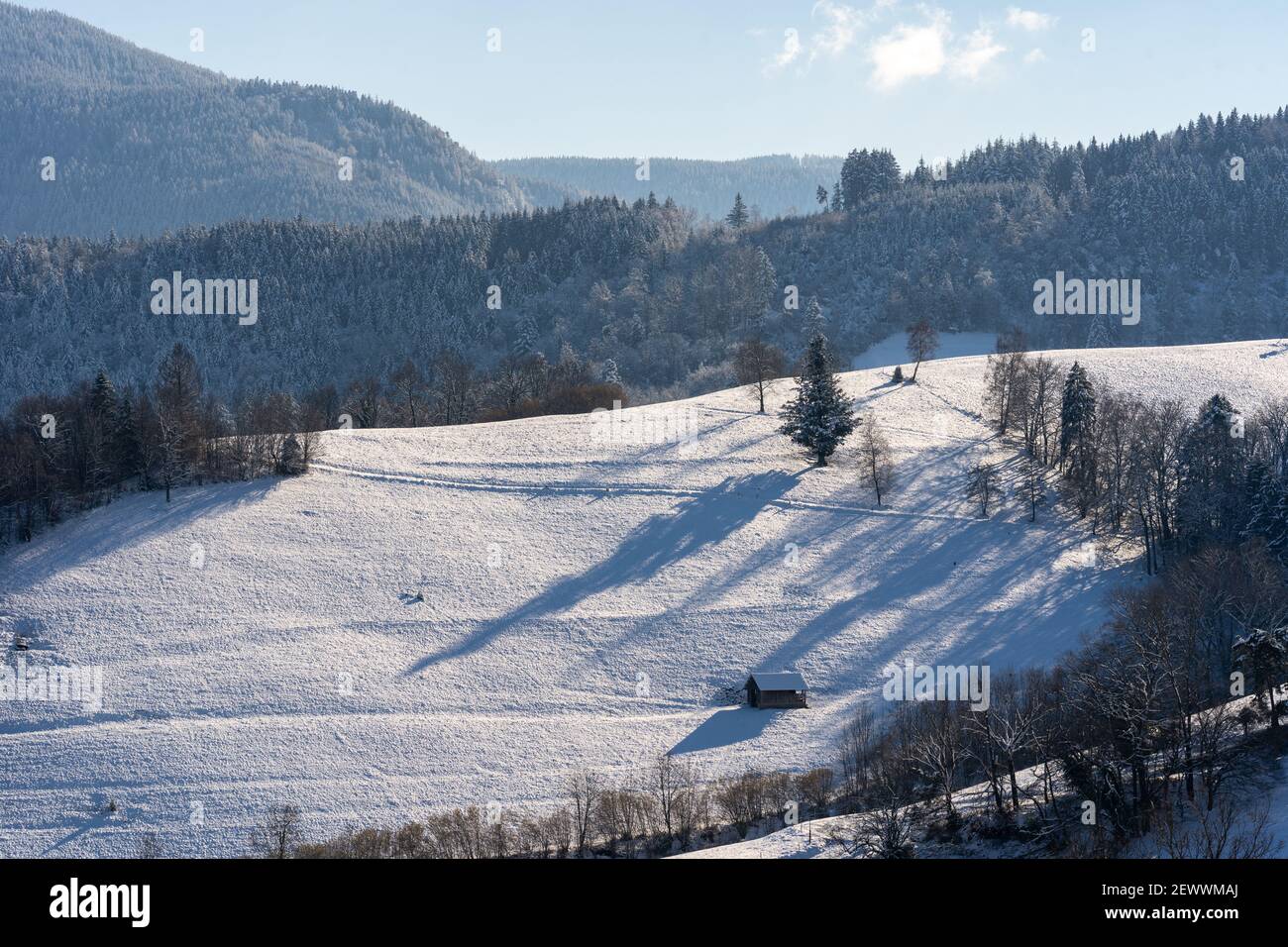 The snowy winter in the Black Forest near Kirchzarten, Germany Stock ...