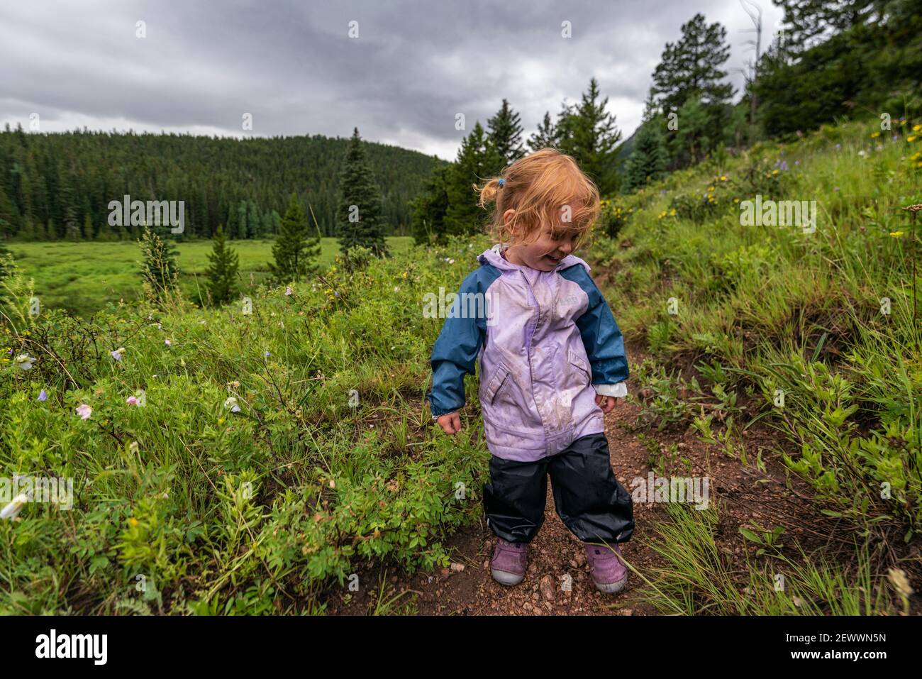 Young child exploring the wilderness, Colorado Stock Photo - Alamy