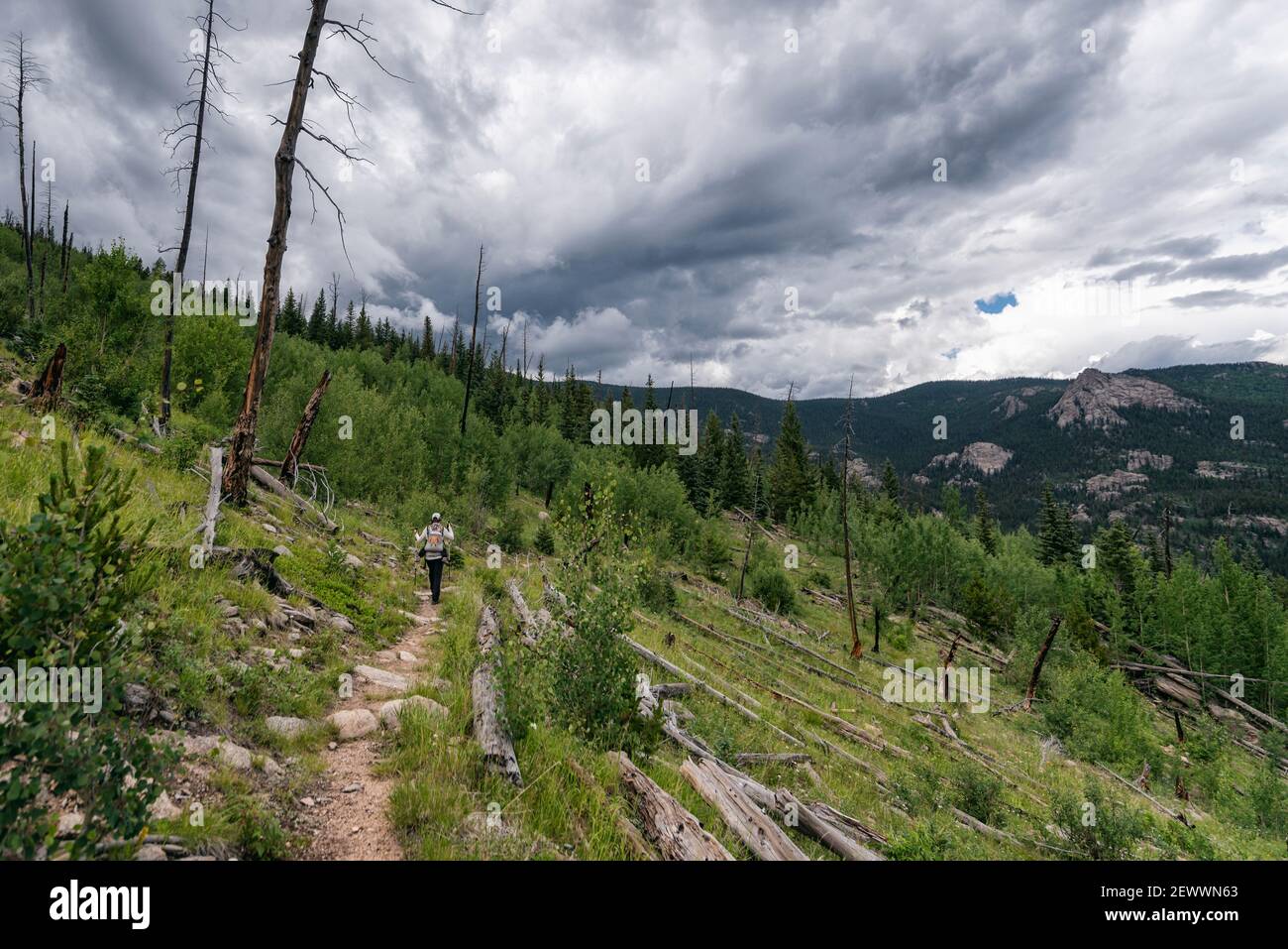 Hiking along Bear Tracks Lake Trail, Colorado Stock Photo - Alamy