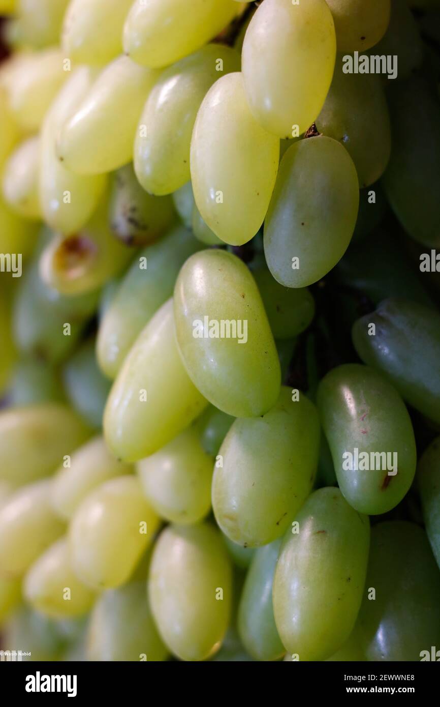 A vertical closeup shot of delicious green grapes Stock Photo - Alamy