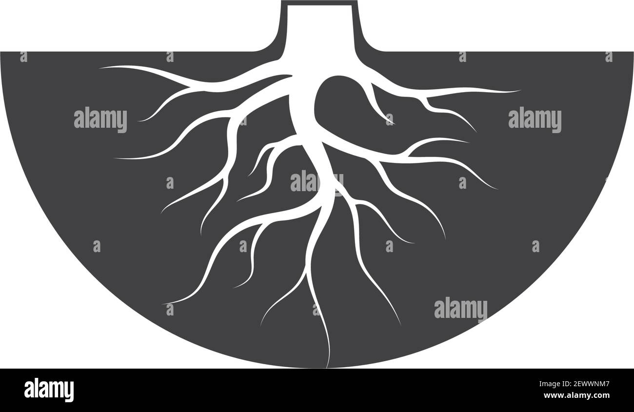 tree roots vector icon illustration design template Stock Vector Image ...