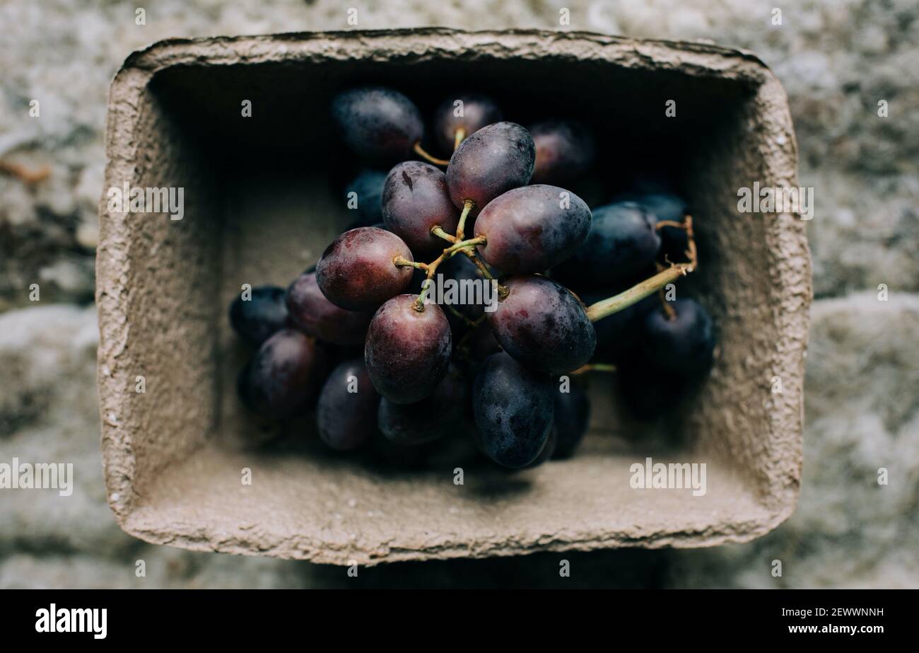 Vector organic food hi-res stock photography and images - Alamy