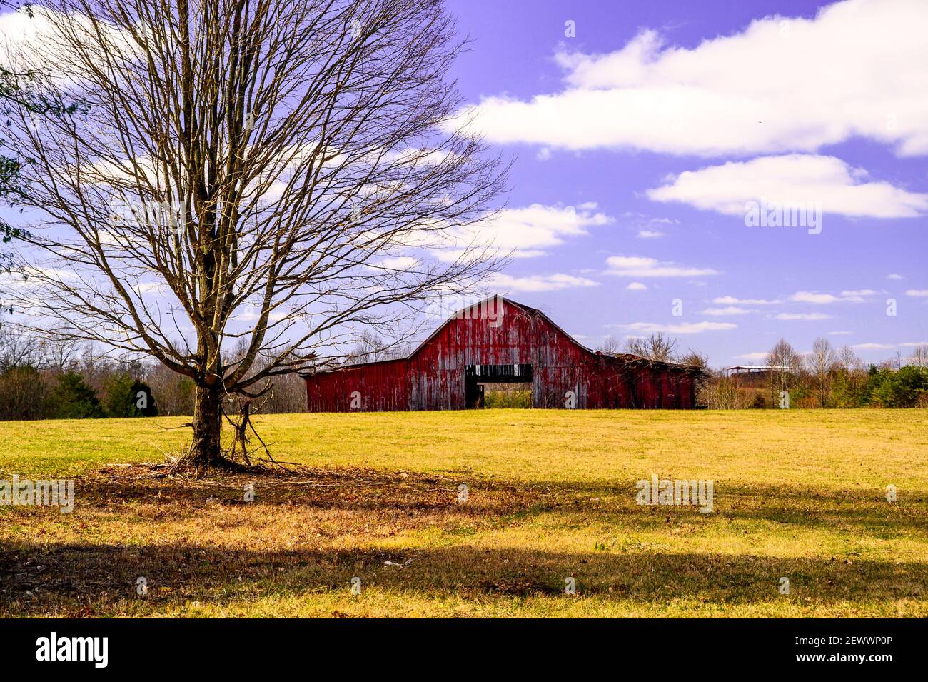 Empty barn hi-res stock photography and images - Alamy