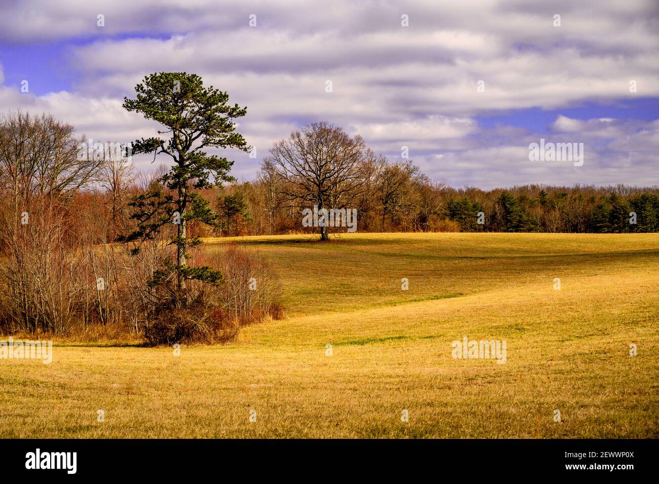 Empty green farm pasture hi-res stock photography and images - Alamy
