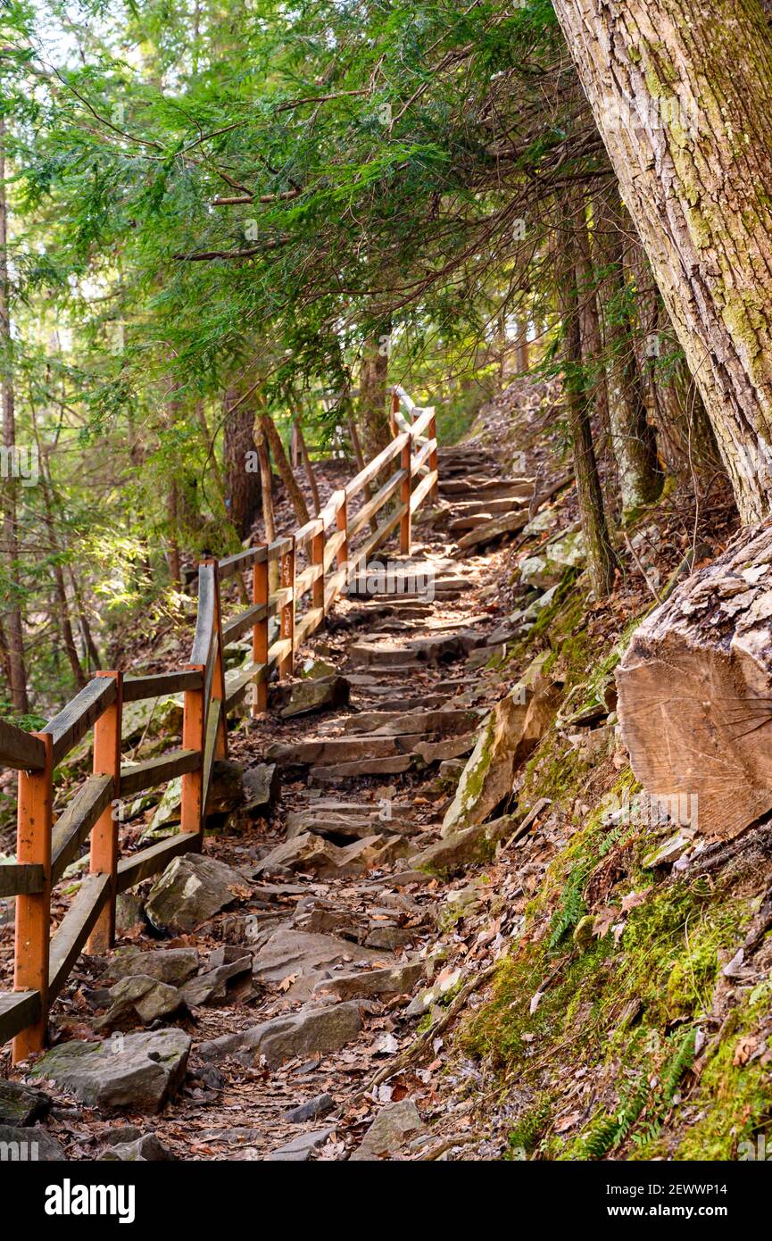 A rocky and uneven trail with a rail fence a state park Stock Photo - Alamy