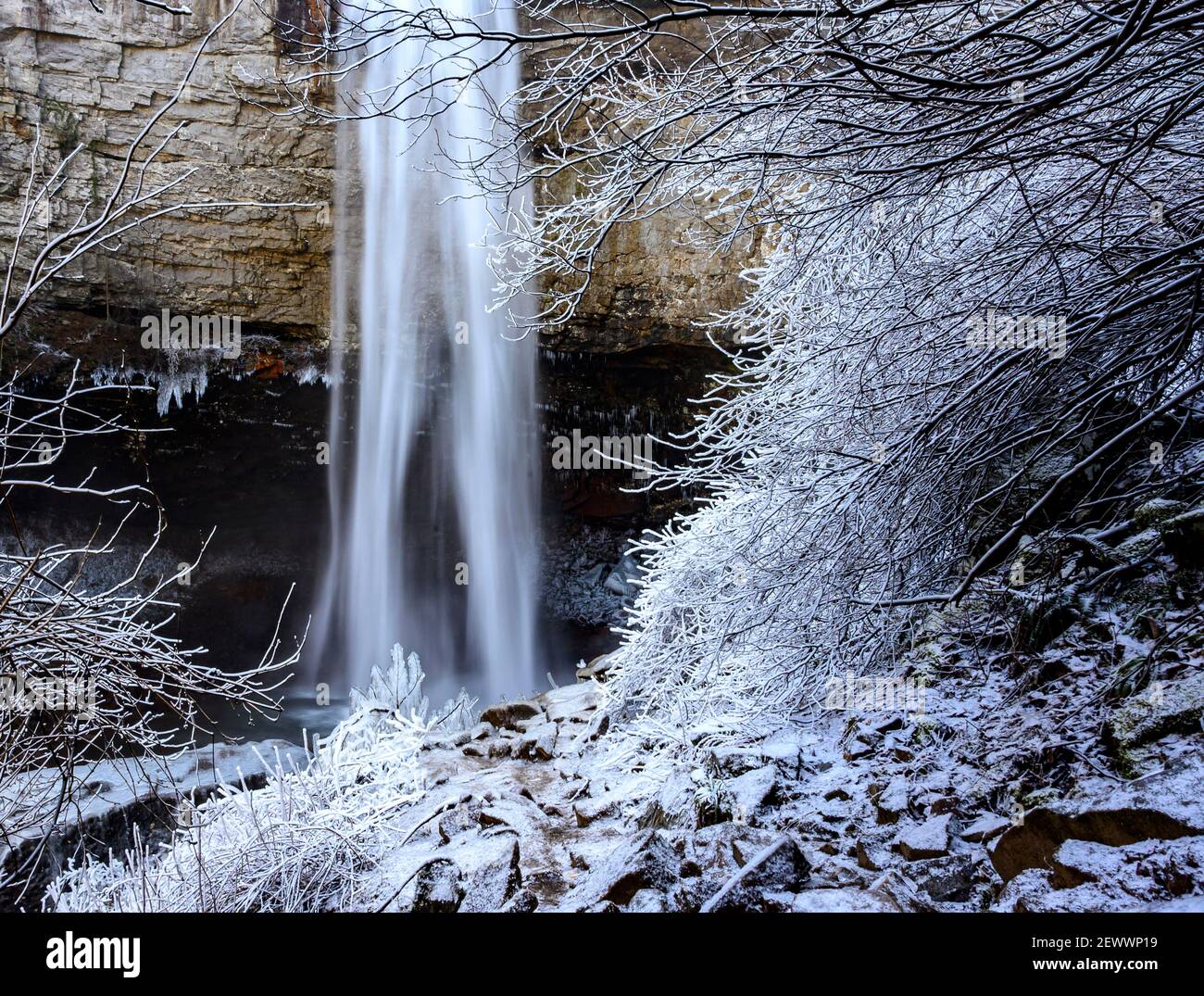 Ice coated shrubery and a waterfall in the background Stock Photo - Alamy