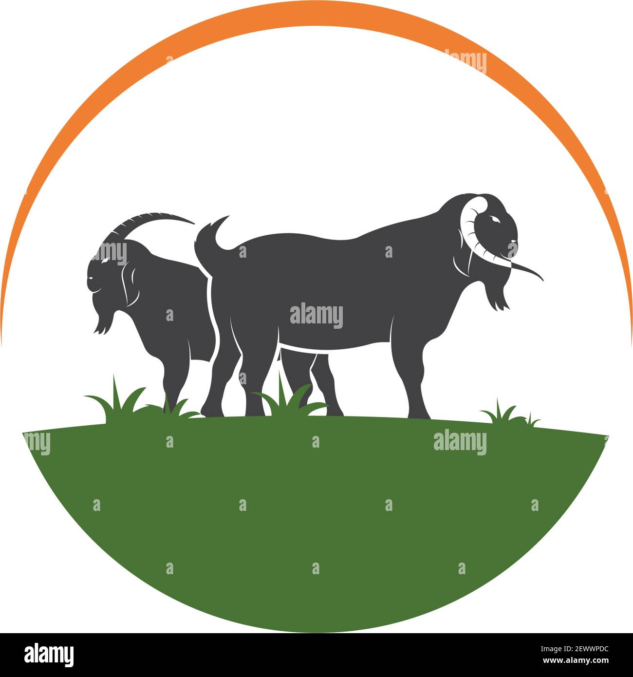Meat goats Stock Vector Images - Alamy