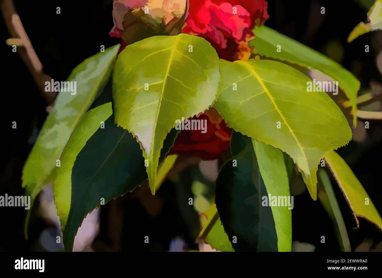 Red edged leaves background hi-res stock photography and images - Alamy
