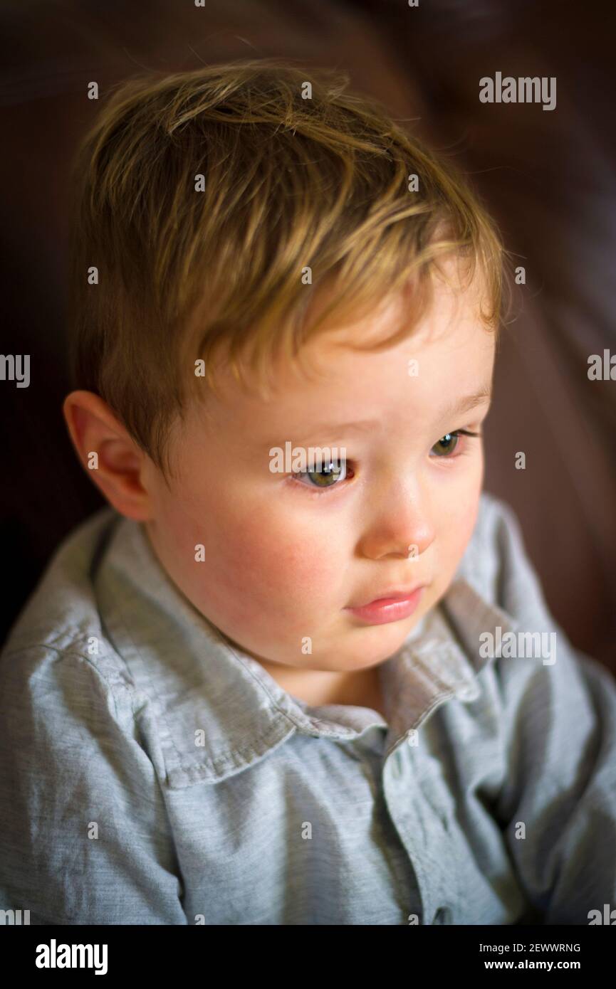 2 years old boy hi-res stock photography and images - Alamy