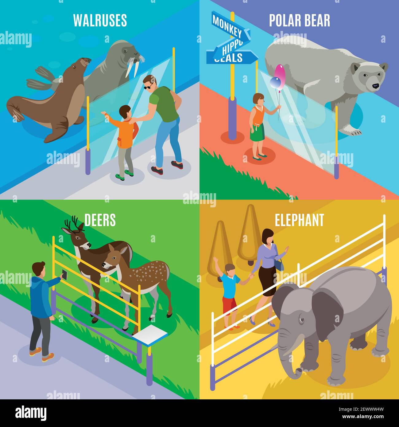 Contact zoo isometric 2x2 design concept with images of polar and ...