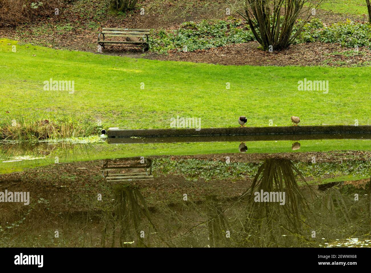 Old park bench by a pond hi-res stock photography and images - Alamy