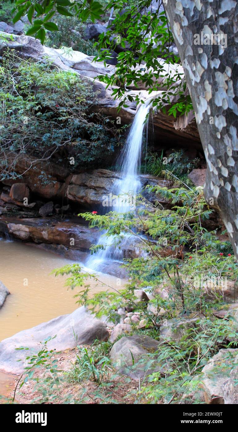 A vertical shot of waterfalls over rocks with long exposure in the ...
