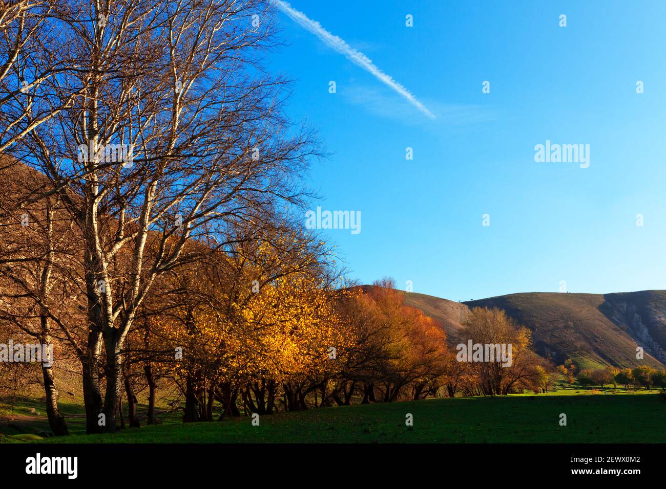 Colorful trees in a row . Majestic nature scenery . Valley surrounded ...