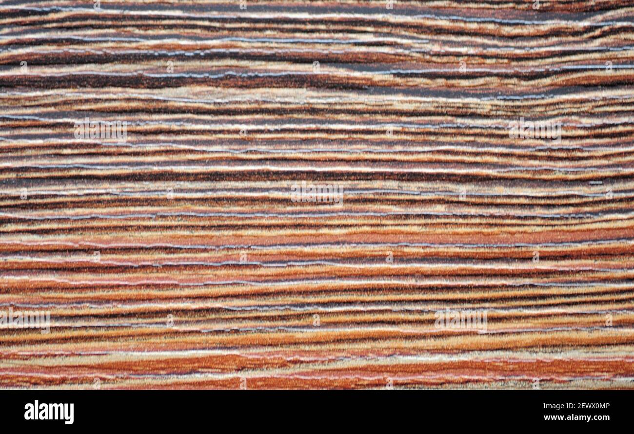 Close-up of the grooved surface of the natural pattern of natural dark ...
