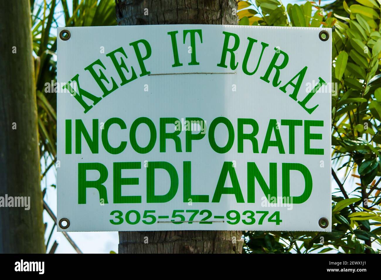 Political sign telephone pole hi-res stock photography and images - Alamy