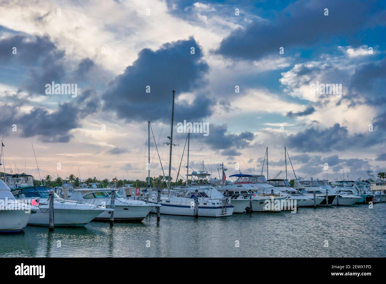 Late afternoon view of the boats docked at the Black Point Park Marina ...