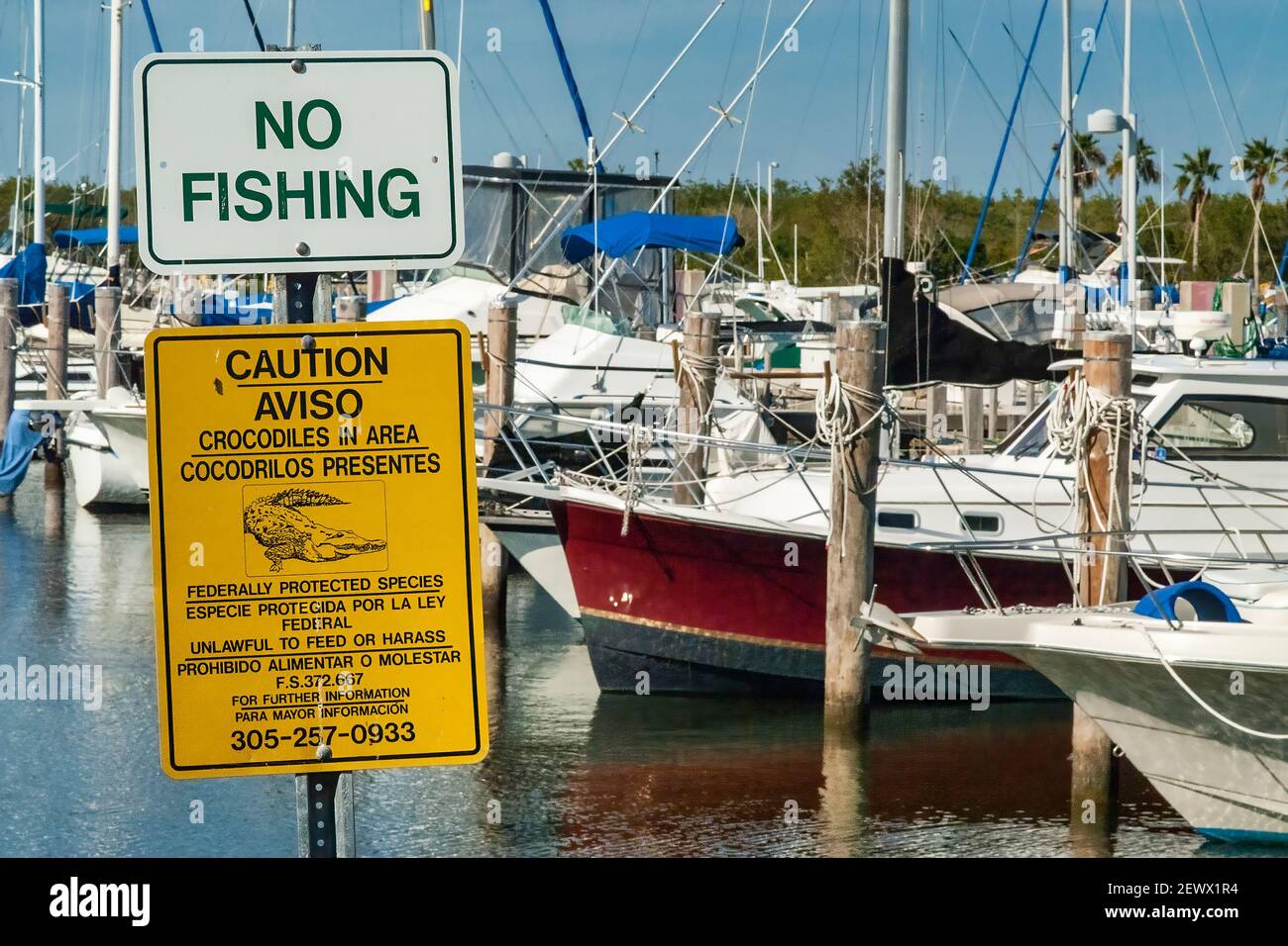 No Fishing and Crocodile Caution signs at Black Point Park Marina on ...