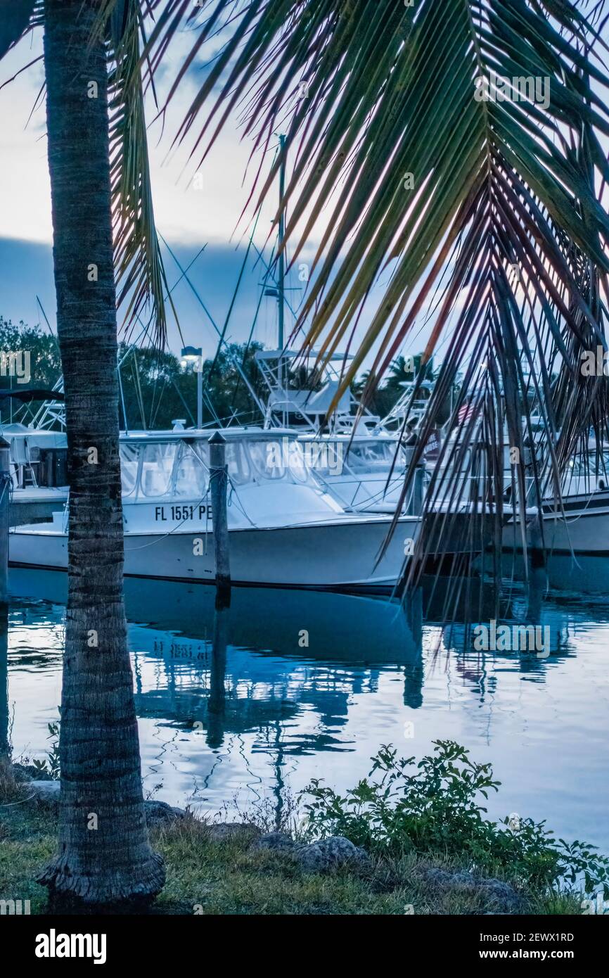 Late afternoon view of the boats docked at the Black Point Park Marina ...
