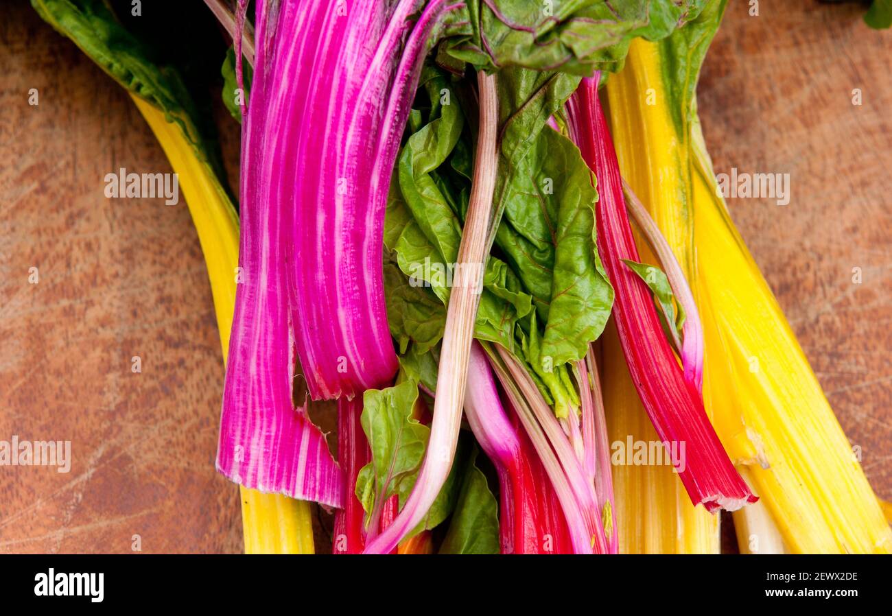 organic swiss chard in yellow, pink red and green Stock Photo - Alamy
