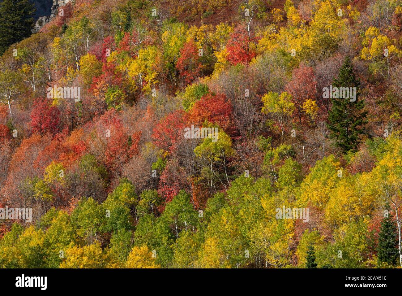 Alpine loop hi-res stock photography and images - Alamy