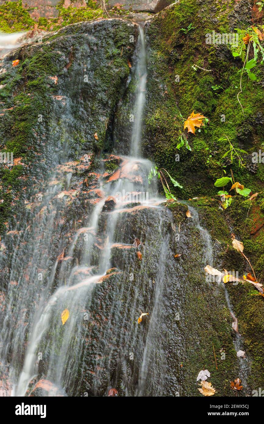 Morgan state forest county hi-res stock photography and images - Alamy