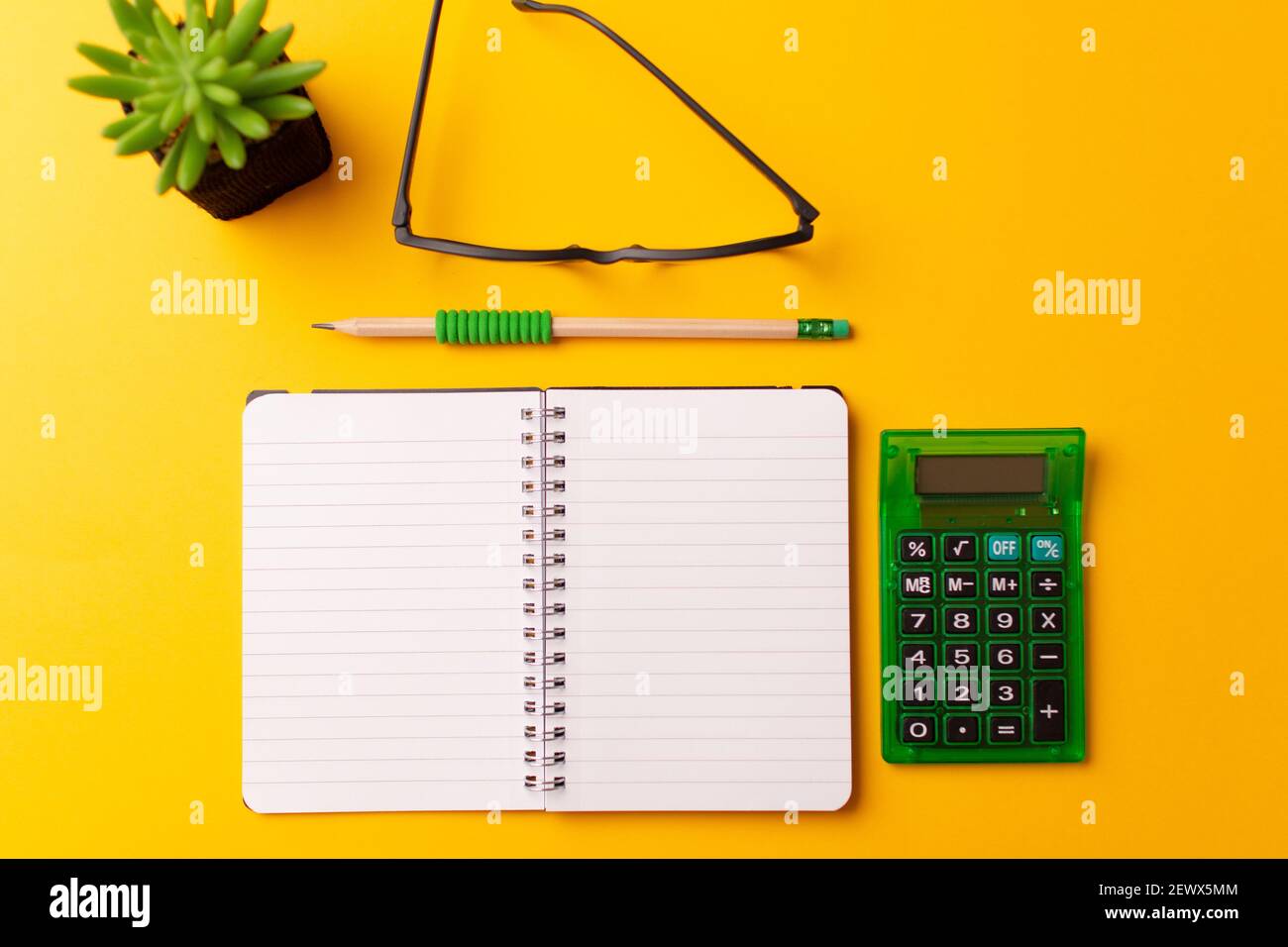 A top view of a journal, calculator, glasses, a pencil, and a plant on ...