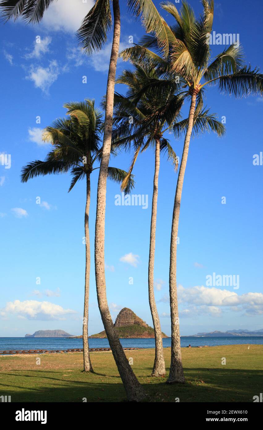 Beaches of Oahu Stock Photo - Alamy