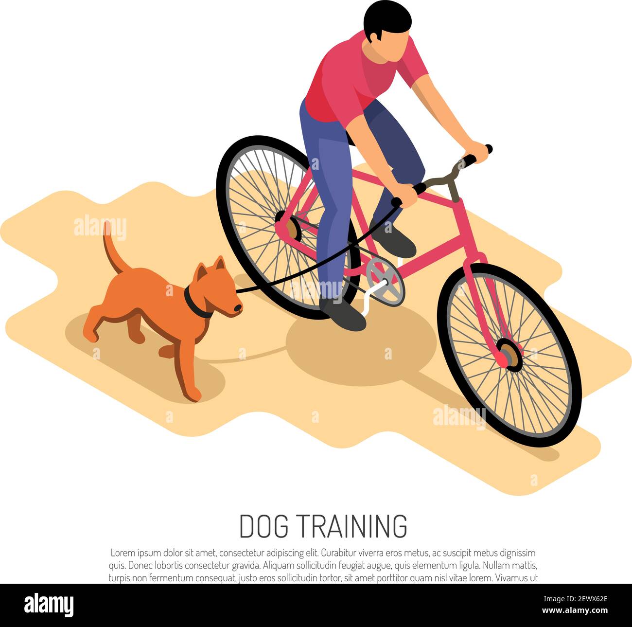 Cynologist endurance training isometric composition with bike riding ...