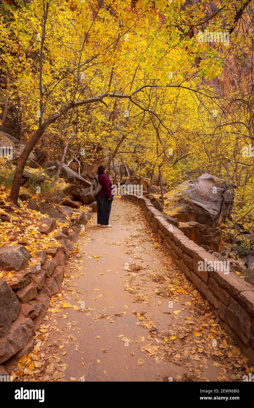 Usa leaf leaves color autumn fall trail walk path foliage hi-res stock ...