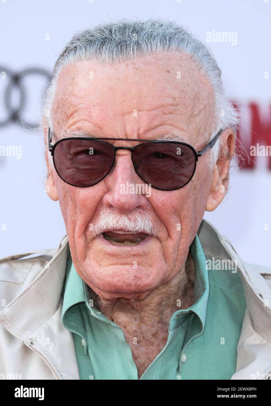 (FILE) Stan Lee Dies At 95. Stan Lee, the legendary writer, editor and ...