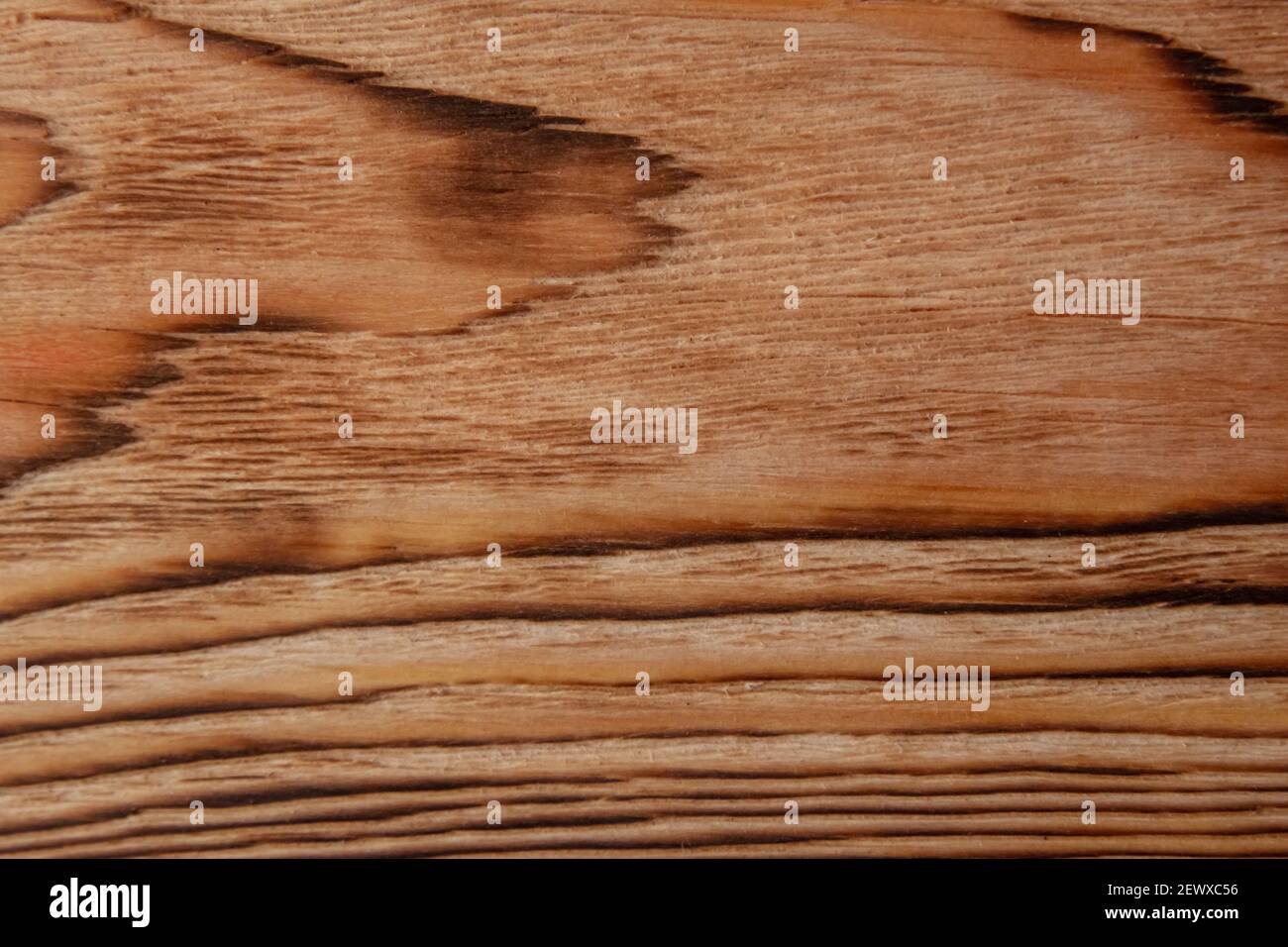 The texture of the pine board after firing and brushing. Background ...