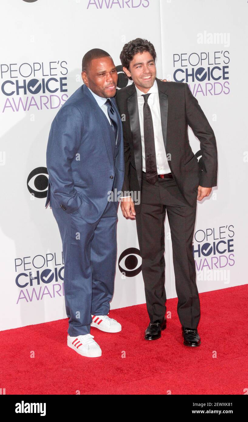 (L-R) Actors Anthony Anderson and Adrian Grenier arrive at the 2015 ...