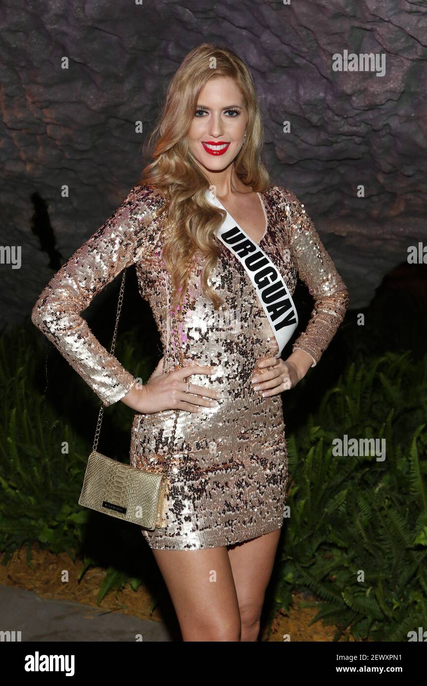 DORAL - FLORIDA, JANUARY9, 2014: Miss Uruguay Johana Riva attends the ...