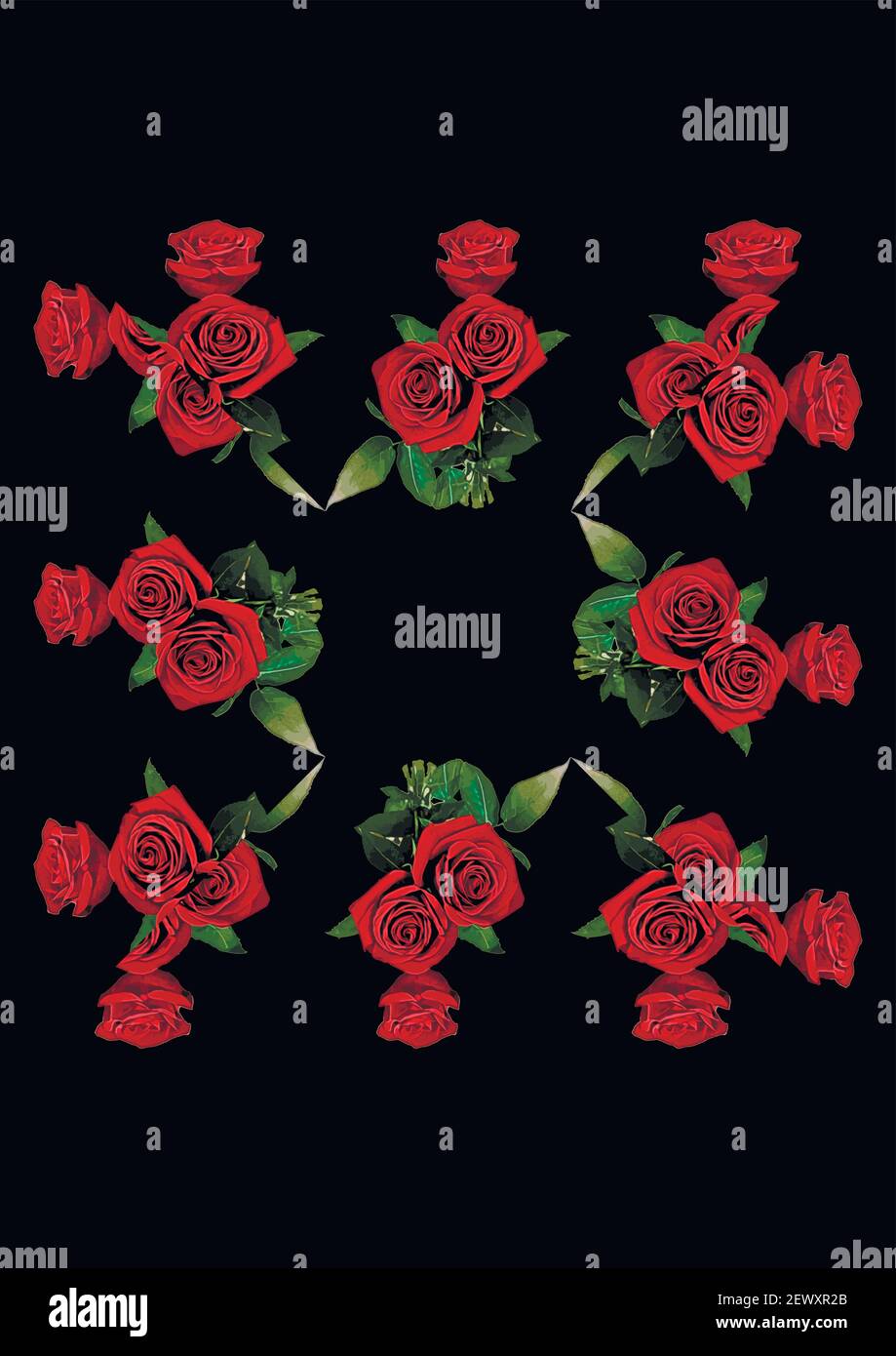 Frames - a bouquet of three red roses. Flowers on the black background ...