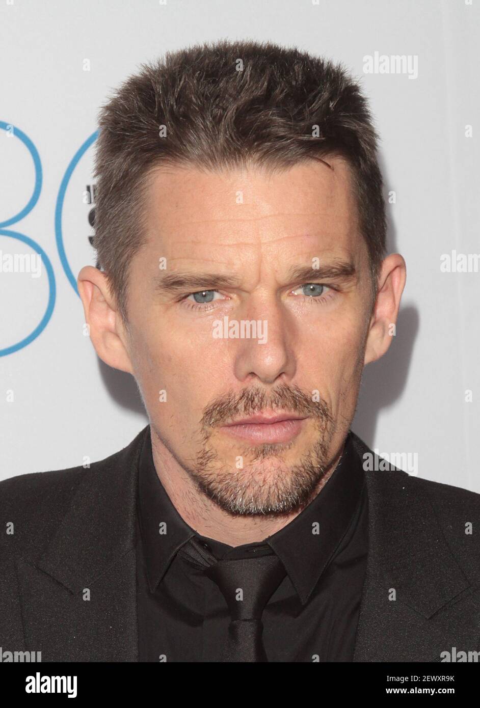 Ethan Hawke attends the 2015 Film Independent Spirit Award Nominees ...