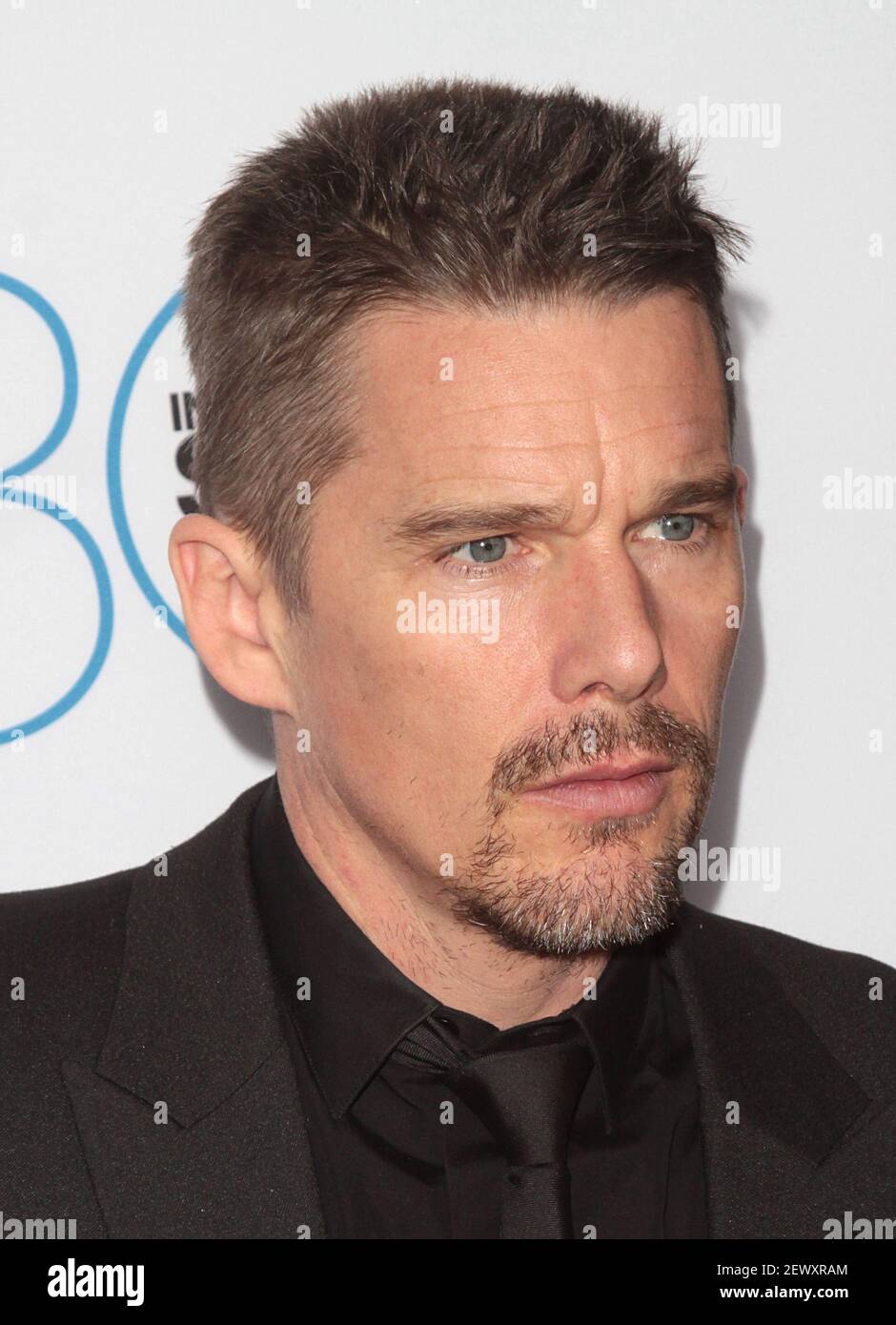 Ethan Hawke attends the 2015 Film Independent Spirit Award Nominees ...