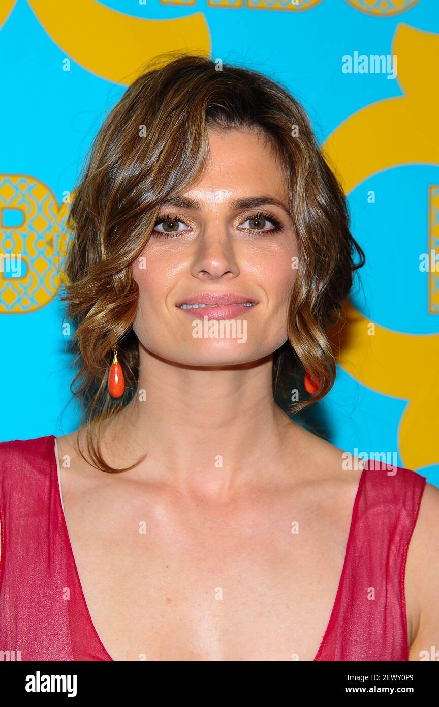 Stana Katic attends the HBO after party following the 72nd Golden Globe ...