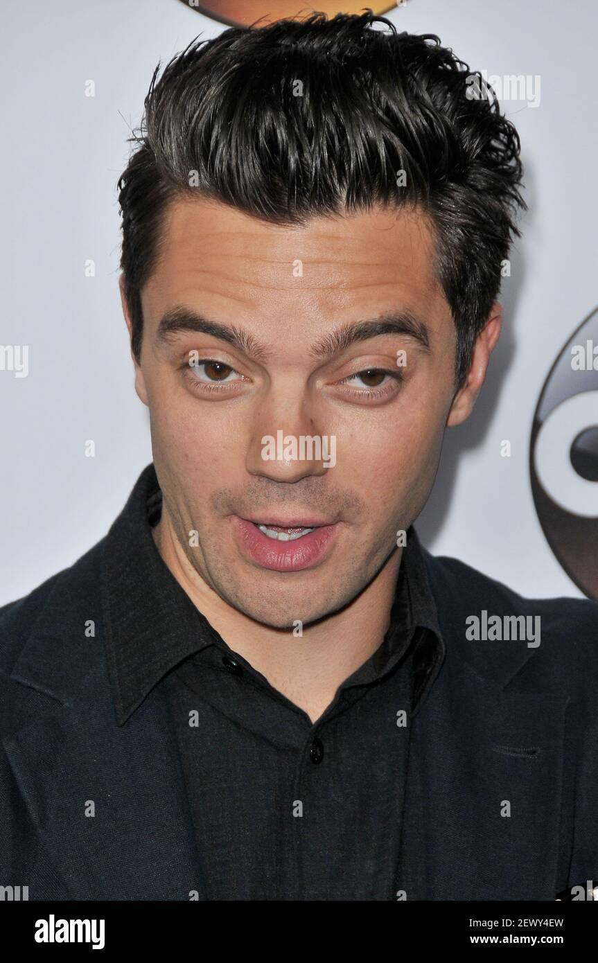 Dominic Cooper at the Disney & ABC Television Group's 2015 TCA Winter ...